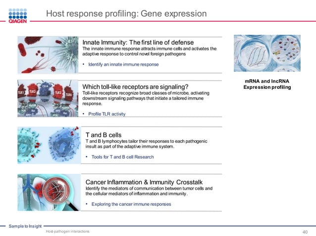 Host-pathogen Interactions, Molecular Basis and Host Defense: Pathogen Detection Webinar Series ...