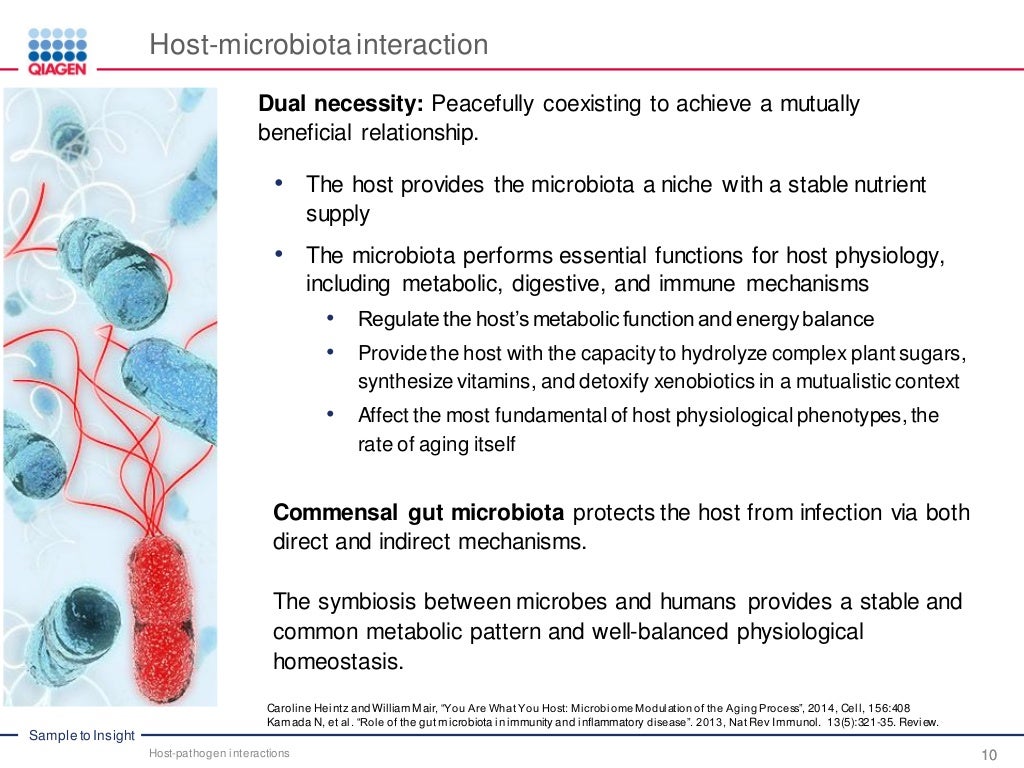 Host Pathogen Interactions Molecular Basis And Host Defense Pathoge…