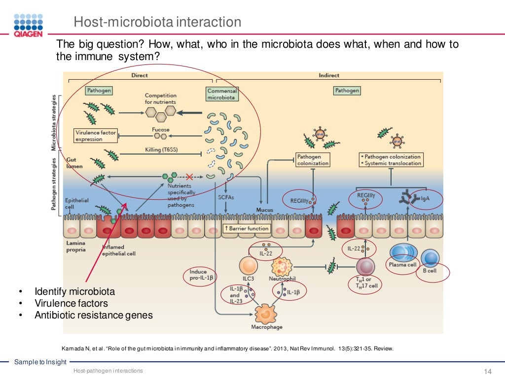 Host-pathogen Interactions, Molecular Basis and Host Defense: Pathoge…