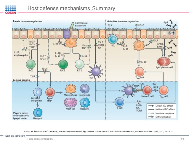 Host-pathogen Interactions, Molecular Basis and Host Defense: Pathoge…