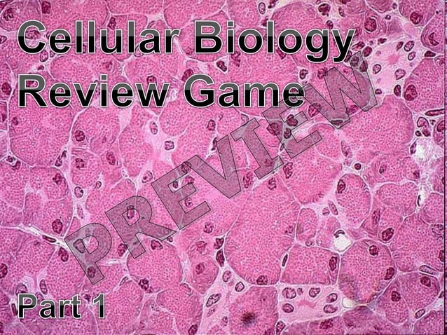 Part 1 Intro to Cells Review Game Preview.pptx