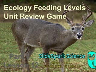 Food Chain Quiz Game, Producers, Consumers, Decomposers, Ecology Unit ...