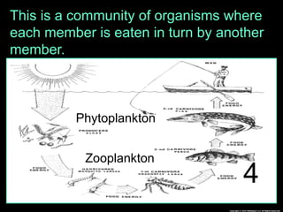 Food Chain Quiz Game, Producers, Consumers, Decomposers, Ecology Unit ...