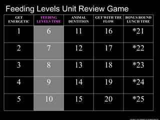 Food Chain Quiz Game, Producers, Consumers, Decomposers, Ecology Unit ...