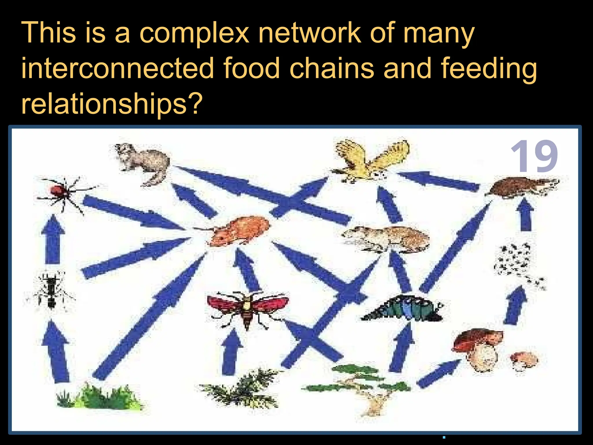 Ecology Quiz Game about Levels of Organization, Earth's Spheres, Sphere ...