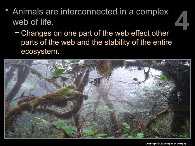 Ecology Quiz Game about Levels of Organization, Earth's Spheres, Sphere ...