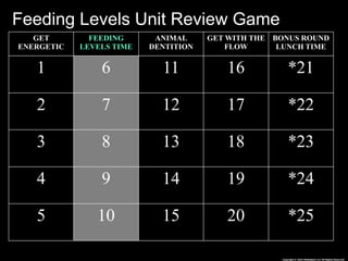 Food Chain Quiz Game with Answer Key for Ecology Feeding Levels Unit | PPTX