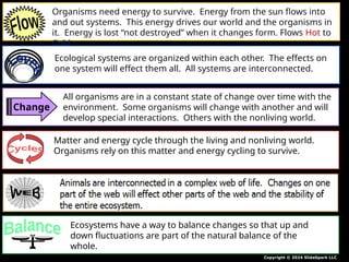 Ecology Quiz Game with Answers, Food Webs, Ecosystems, Earth's Spheres ...