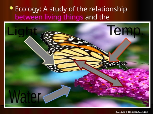 Ecology Abiotic Factors Lesson for Middle School Science, Abiotic ...