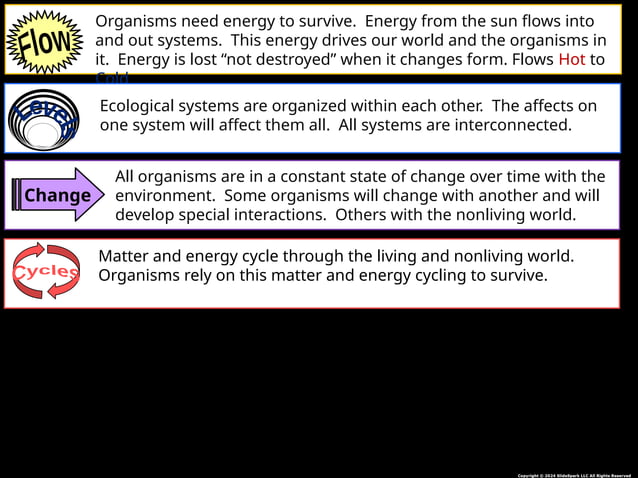 Ecology Unit Lesson about Energy Flow, Food Chains, Making a terrarium ...