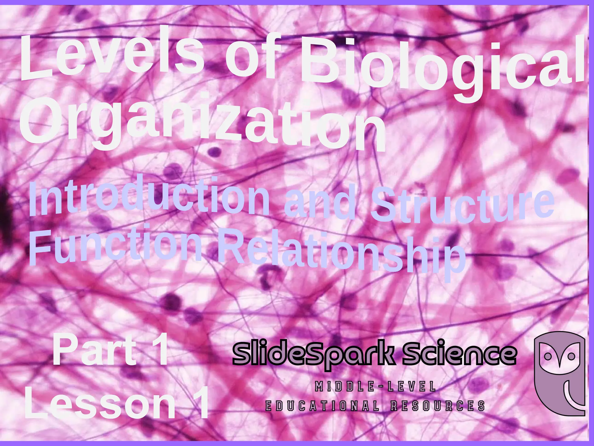 Anatomy Introduction Lesson from Levels of Organization Unit from SlideSpark Science | PPT ...