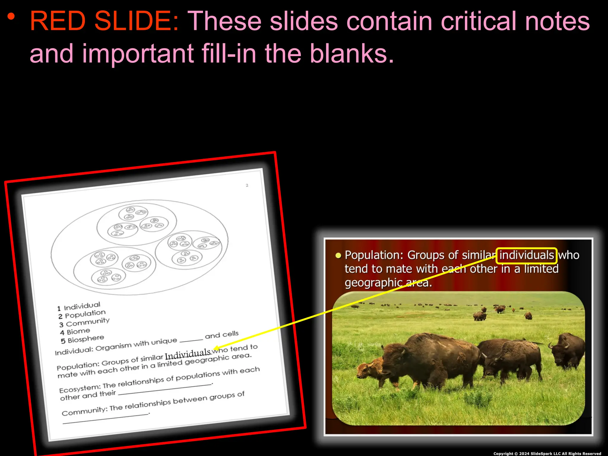 Earth's Spheres Lesson, Atmosphere, Hydrosphere, Lithosphere ...