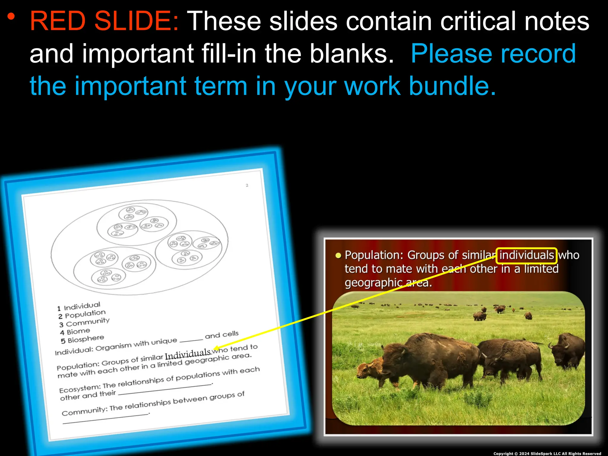 Earth's Spheres Lesson, Atmosphere, Hydrosphere, Lithosphere ...
