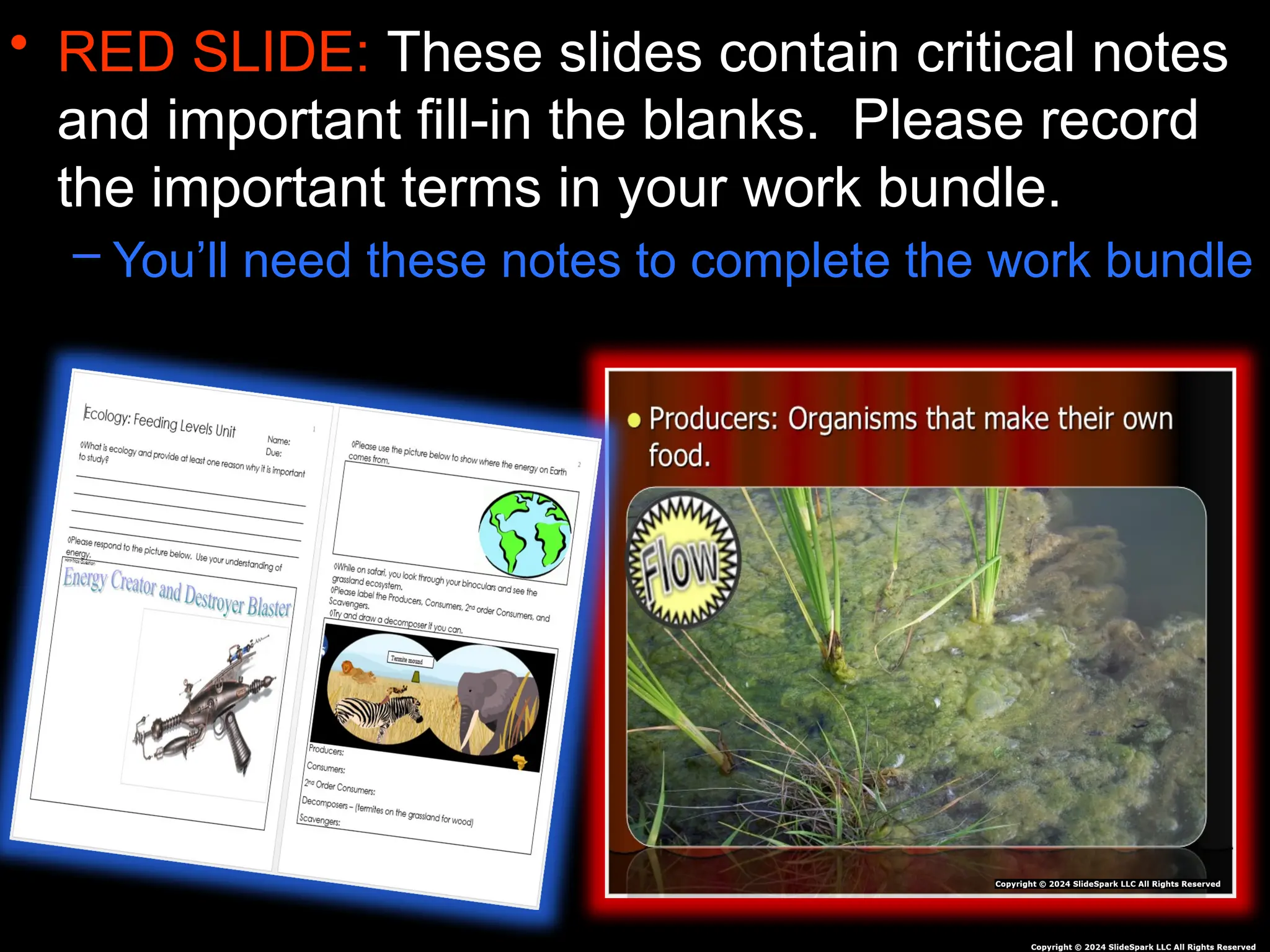 Ecology Food Chain Lesson for Middle School, Producers, Consumers ...