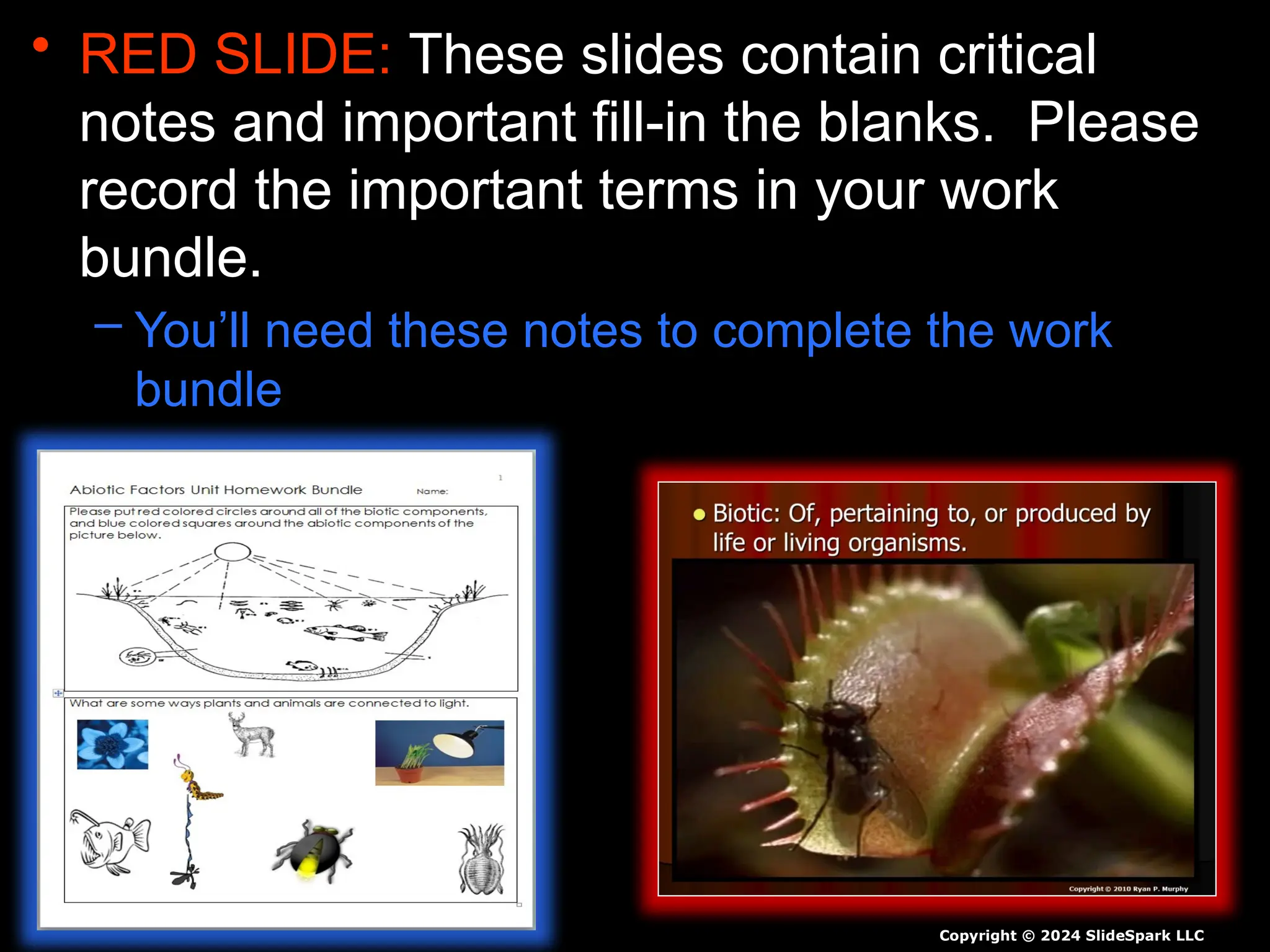 Abiotic Factors, Range of Tolerance, Light, Lesson for Middle School ...