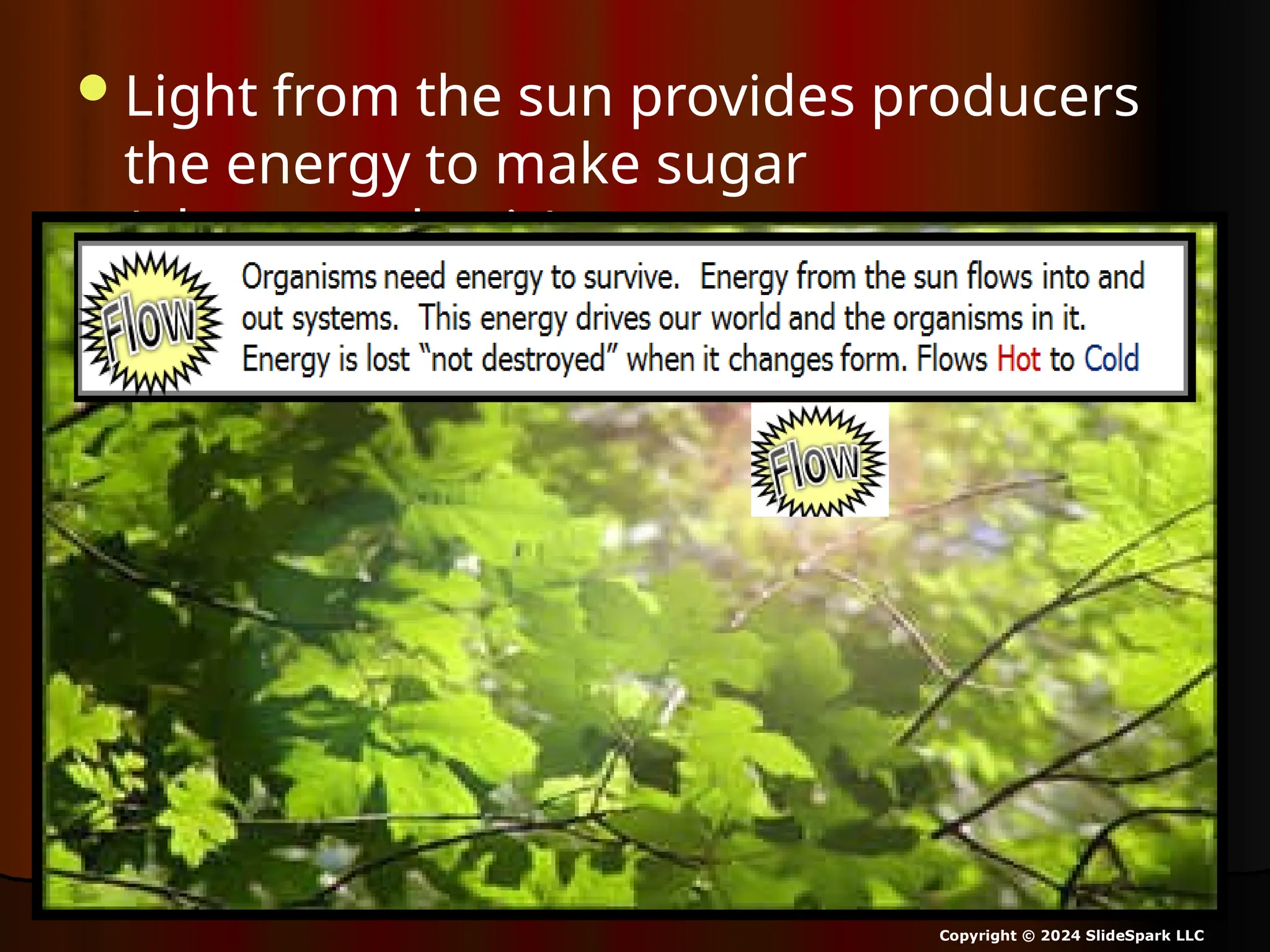 Abiotic Factors, Range of Tolerance, Light, Lesson for Middle School ...