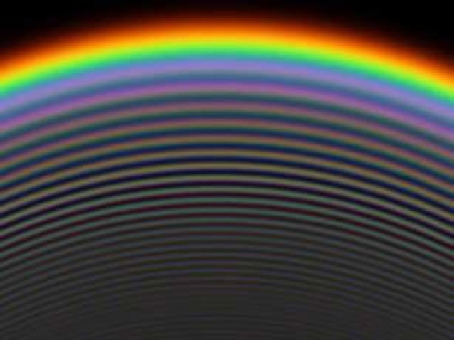 Abiotic Factors, Range of Tolerance, Light, Lesson for Middle School ...