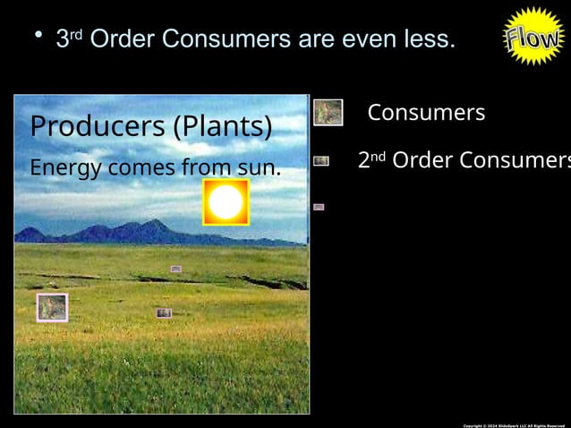 Food Chain, Feeding Groups Lesson for Middle School, Producers ...