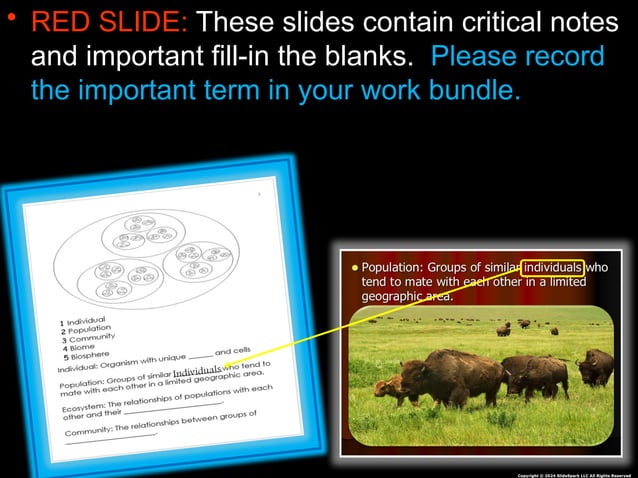 Earth's Sphere Interactions Lesson and Project | PPTX | Geography | Science