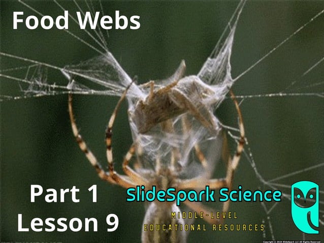 Food Webs Lesson for Middle School Ecology Science Class | PPT