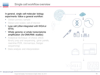 Single-Cell Analysis - Powered by REPLI-g: Single Cell Analysis Series ...