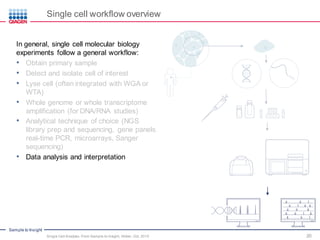 Single-Cell Analysis - Powered by REPLI-g: Single Cell Analysis Series ...