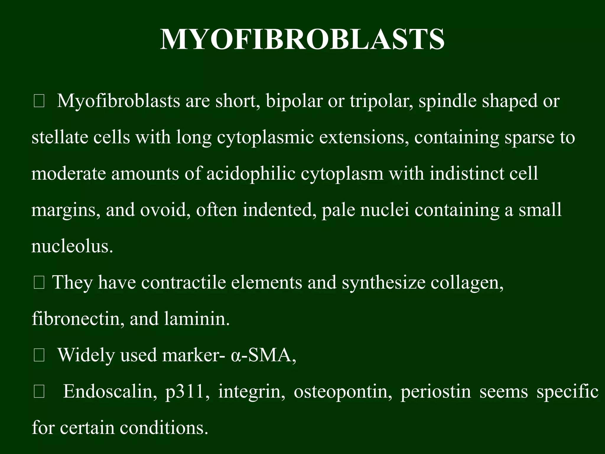 PART 1: SPINDLE CELL LESIONS.pptx