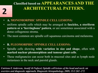 PART 1: SPINDLE CELL LESIONS.pptx