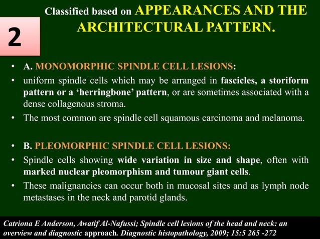 PART 1: SPINDLE CELL LESIONS.pptx | Dental Health | Diseases and Conditions