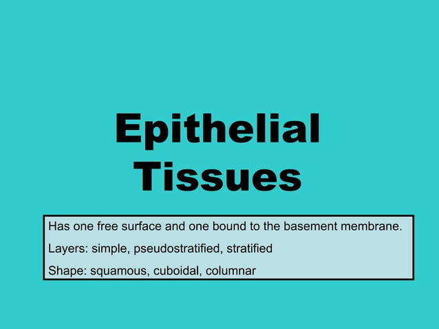 Part 1 tissue powerpoint | PPT