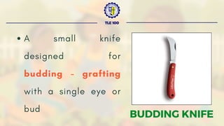 (T.L.E.) Agriculture: Essentials of Gardening | PDF