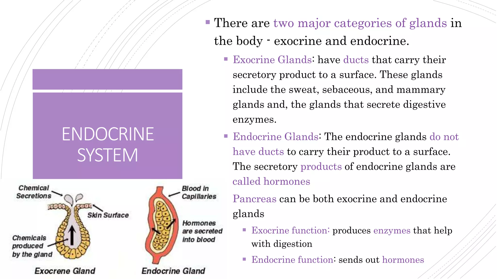 PART 1 TOPIC 8 INTRODUCTION TO HORMONES.pptx