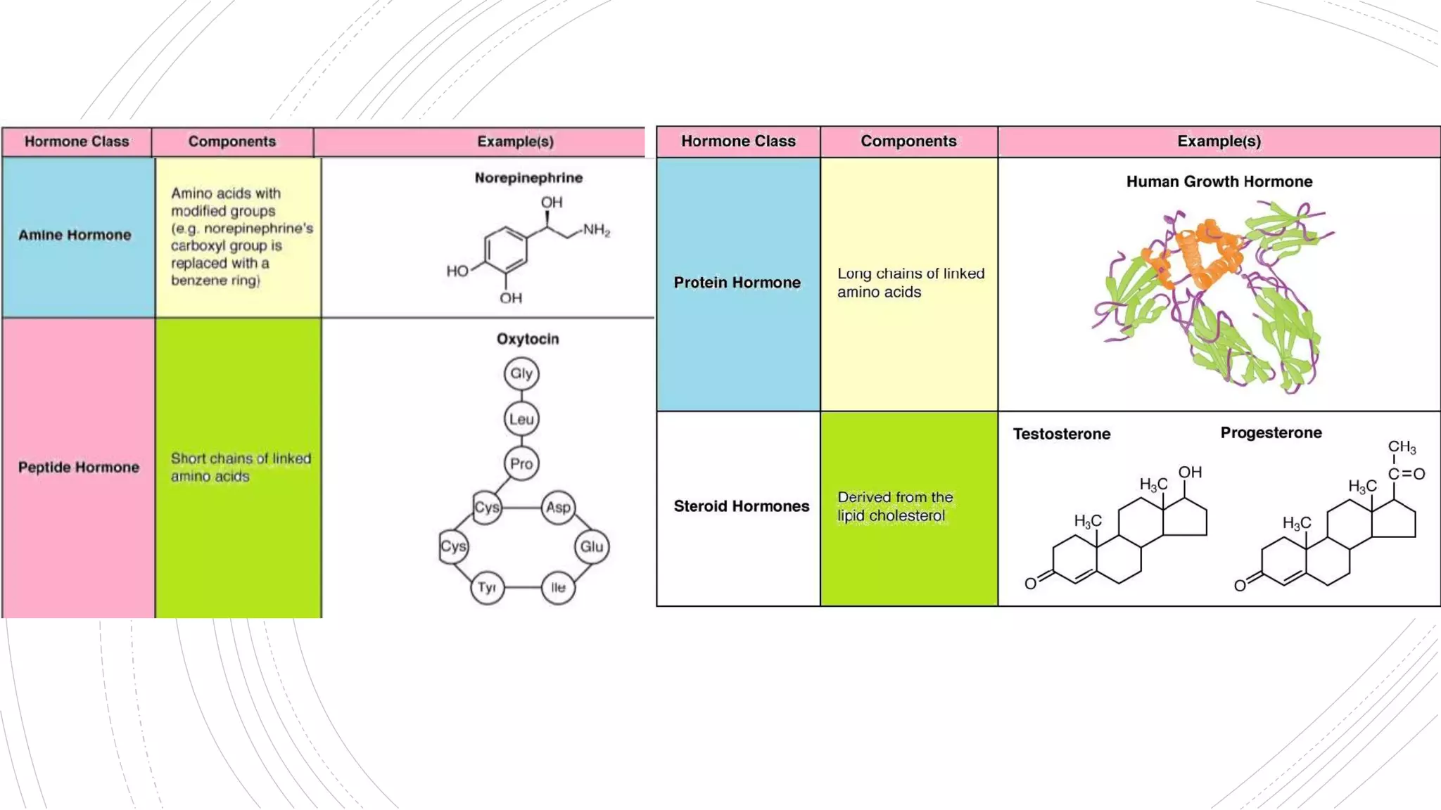 PART 1 TOPIC 8 INTRODUCTION TO HORMONES.pptx