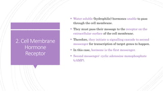 PART 1 TOPIC 8 INTRODUCTION TO HORMONES.pptx