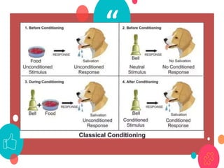Theories and Definitions of Intelligence | PPTX