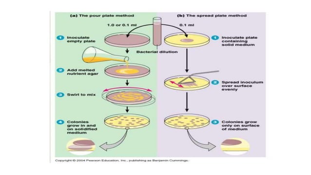Assessment of microbial contamination and spoilage. PHARMACEUTICAL ...