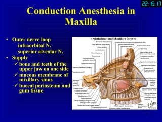 Part2.Anesthesia | PPT