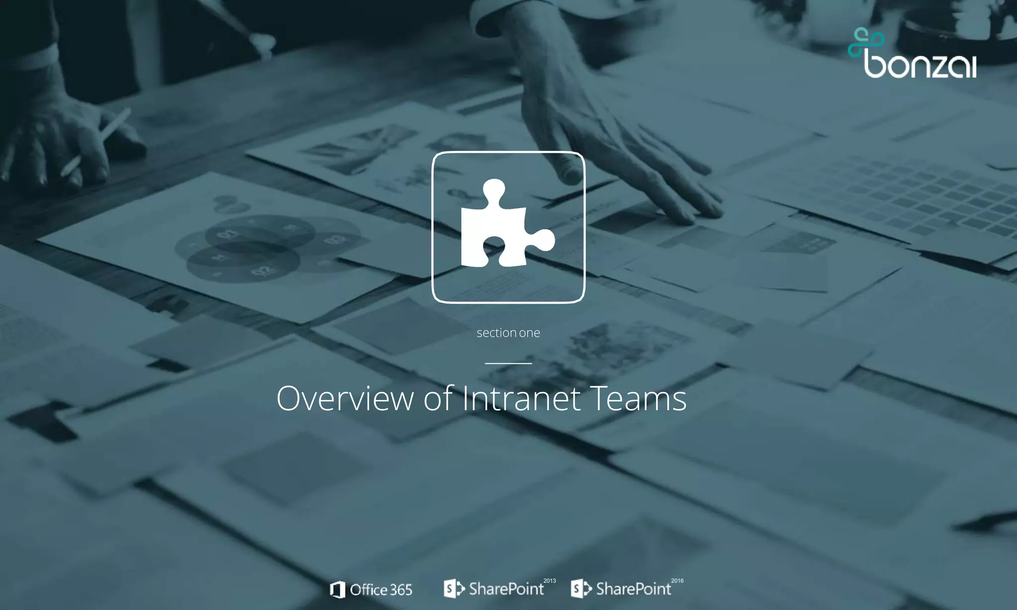Intranet Success Part 2: Defining your ideal intranet project team | PPT