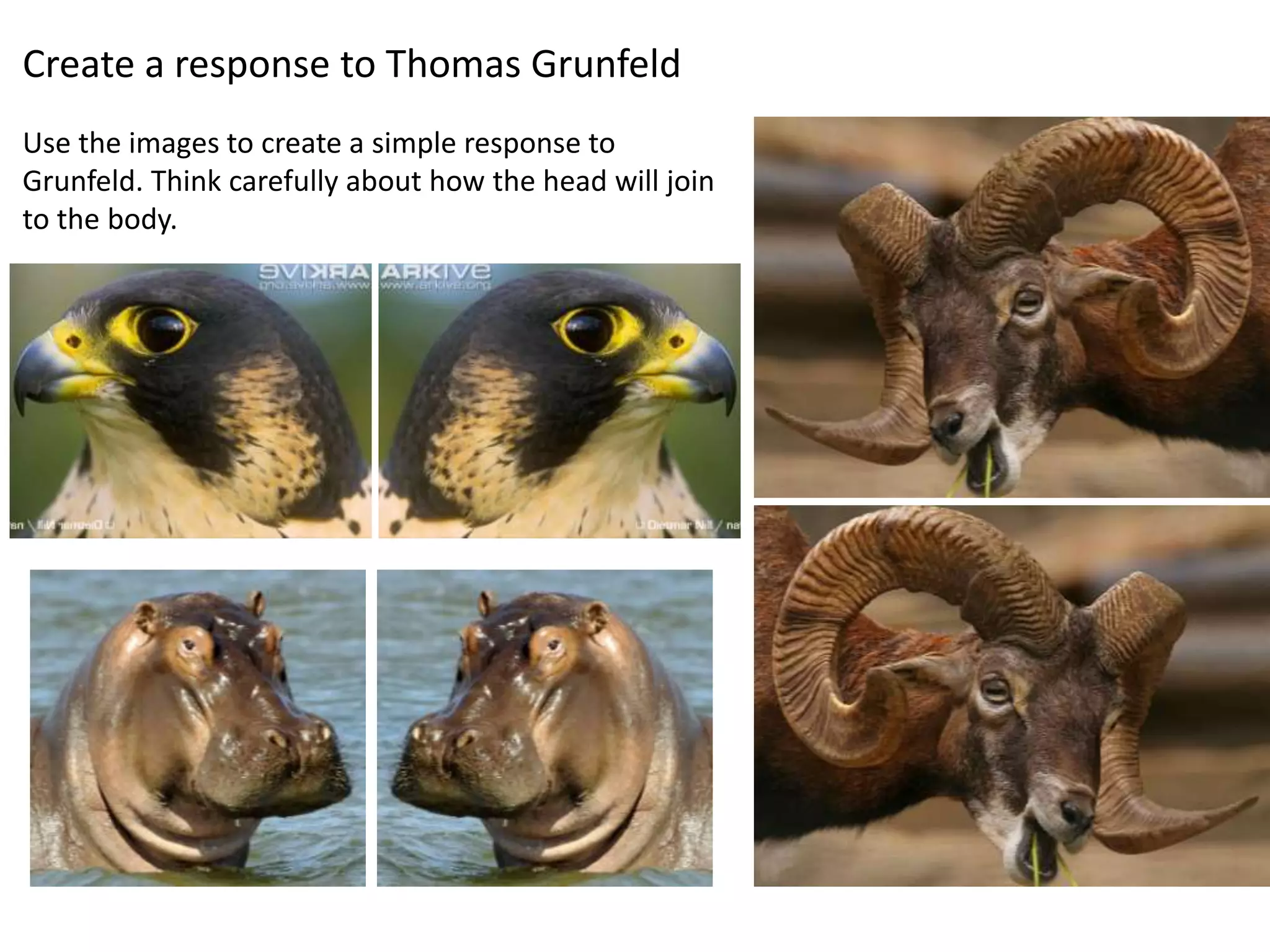 Metamorphosis part 2 | PPTX