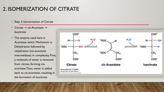 Biology Subject: PART 2 ATP(Adenosin triphopate).pptx