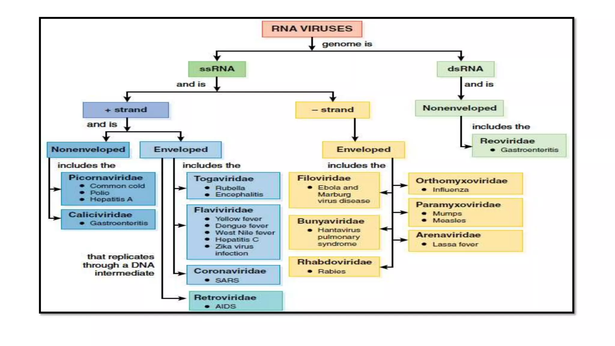 VIRUS PHARMACEUTICAL MICROBIOLOGY (BP303T)Unit-IIIPart-2Study of ...