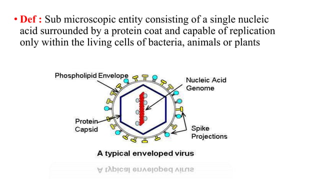 VIRUS PHARMACEUTICAL MICROBIOLOGY (BP303T)Unit-IIIPart-2Study of ...