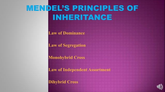 Genetics : Mendel's Law of Inheritance | PPTX