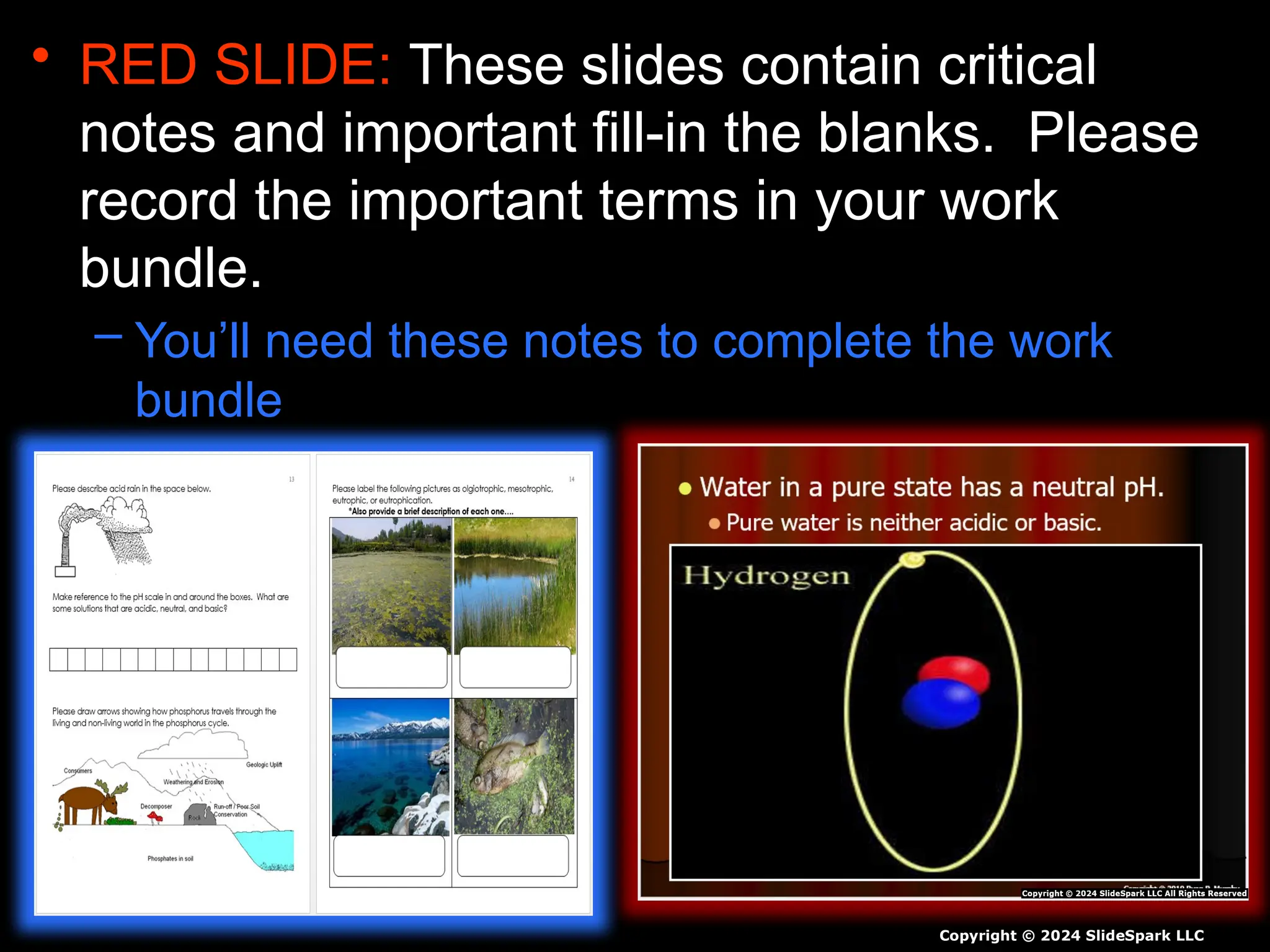 Nitrogen Cycle Lesson from Middle Level Science Biogeochemical Cycles Unit from SlideSpark ...