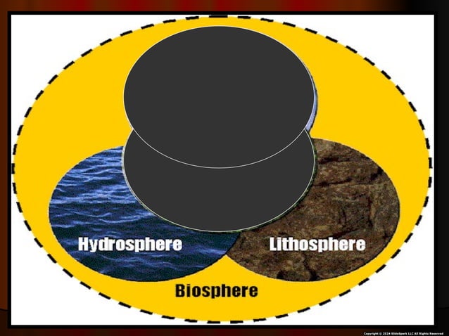 Biogeochemical Cycles Lesson for Middle School Science | PPT | Free Download