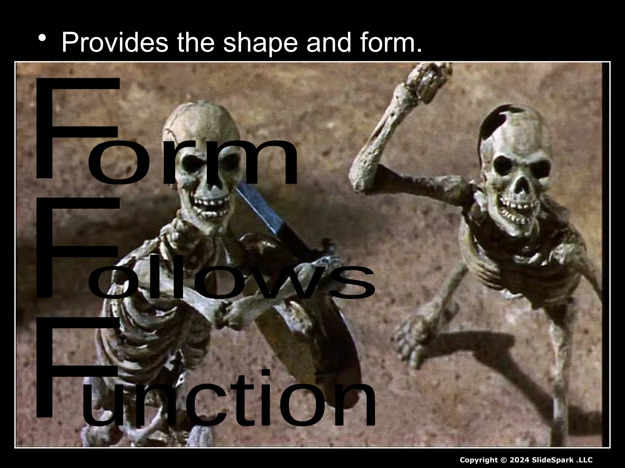 Introduction to the Skeletal System Lesson, Middle Level Science Lesson ...