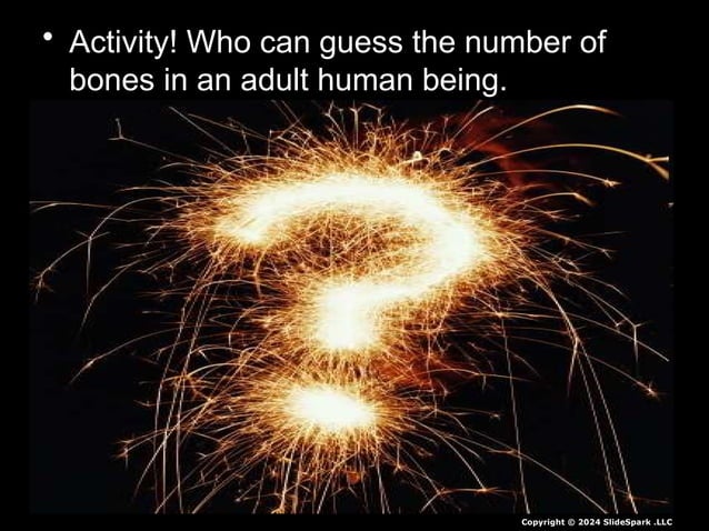 Introduction to the Skeletal System Lesson, Middle Level Science Lesson ...