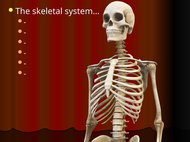 Introduction to the Skeletal System Lesson, Middle Level Science Lesson ...