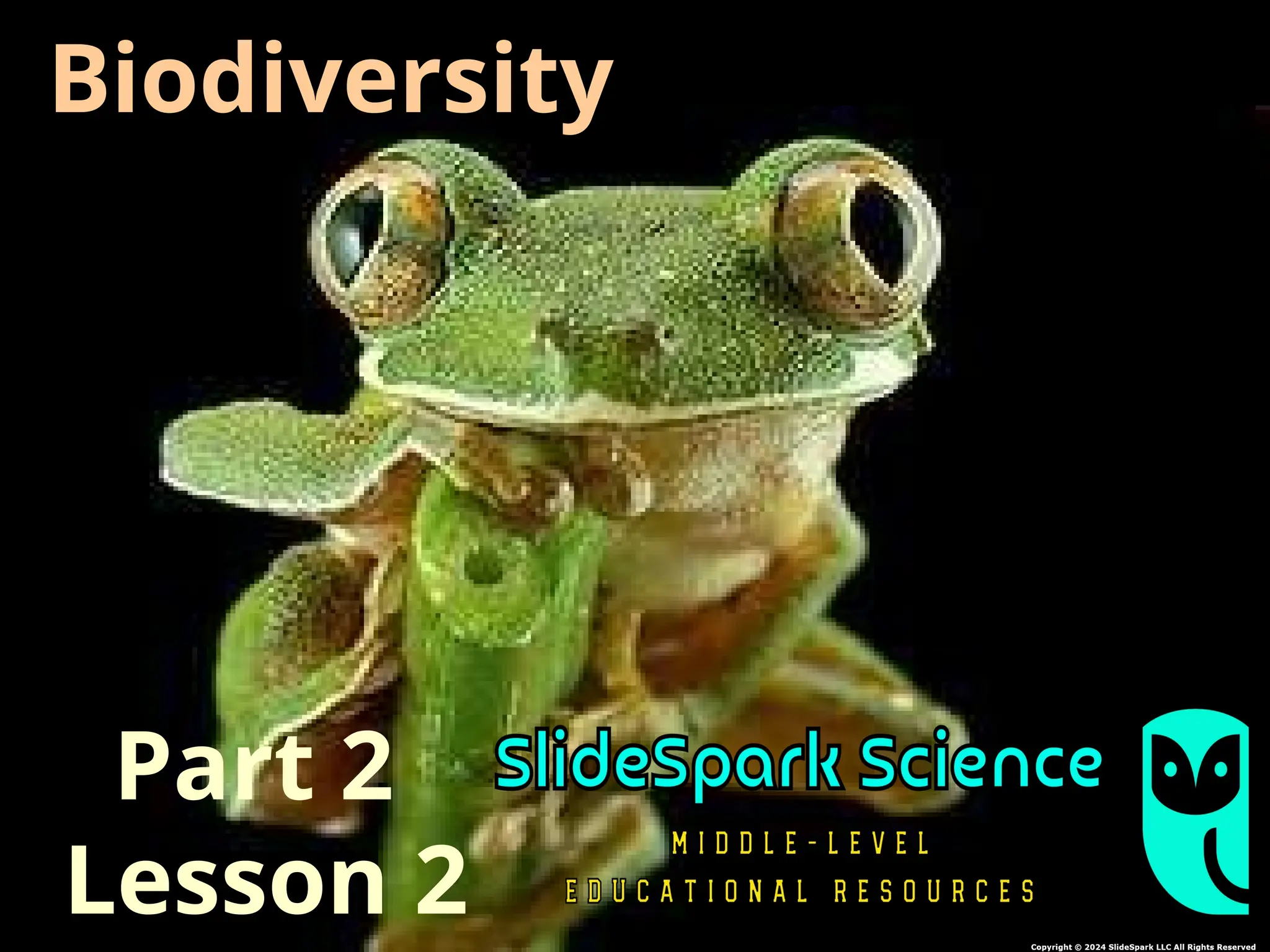 Biodiversity Lesson for Ecology Interactions Unit Importance of ...