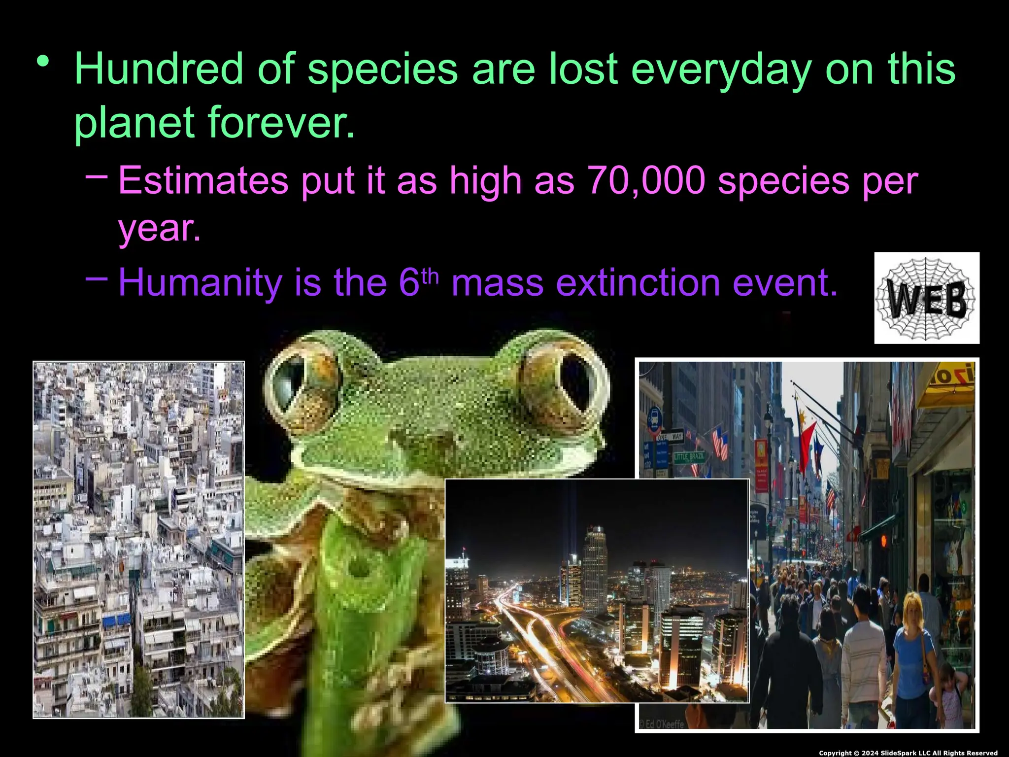 Biodiversity Lesson for Ecology Interactions Unit Importance of ...